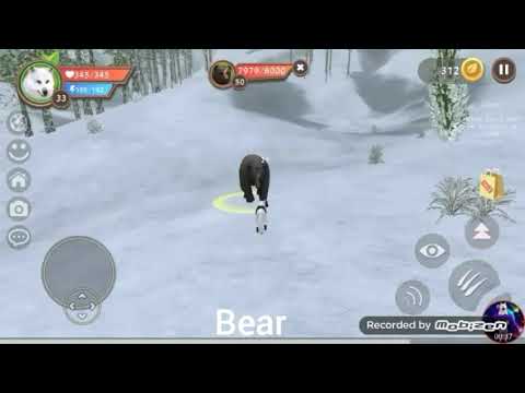 Wildcraft•° All Bosses (Bison unincluded) - YouTube