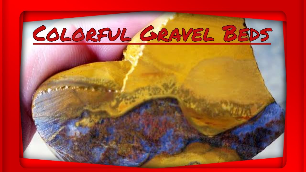 Colorful Montana River Rocks and Agatized Wood! #ColorfulRiverRocks ...