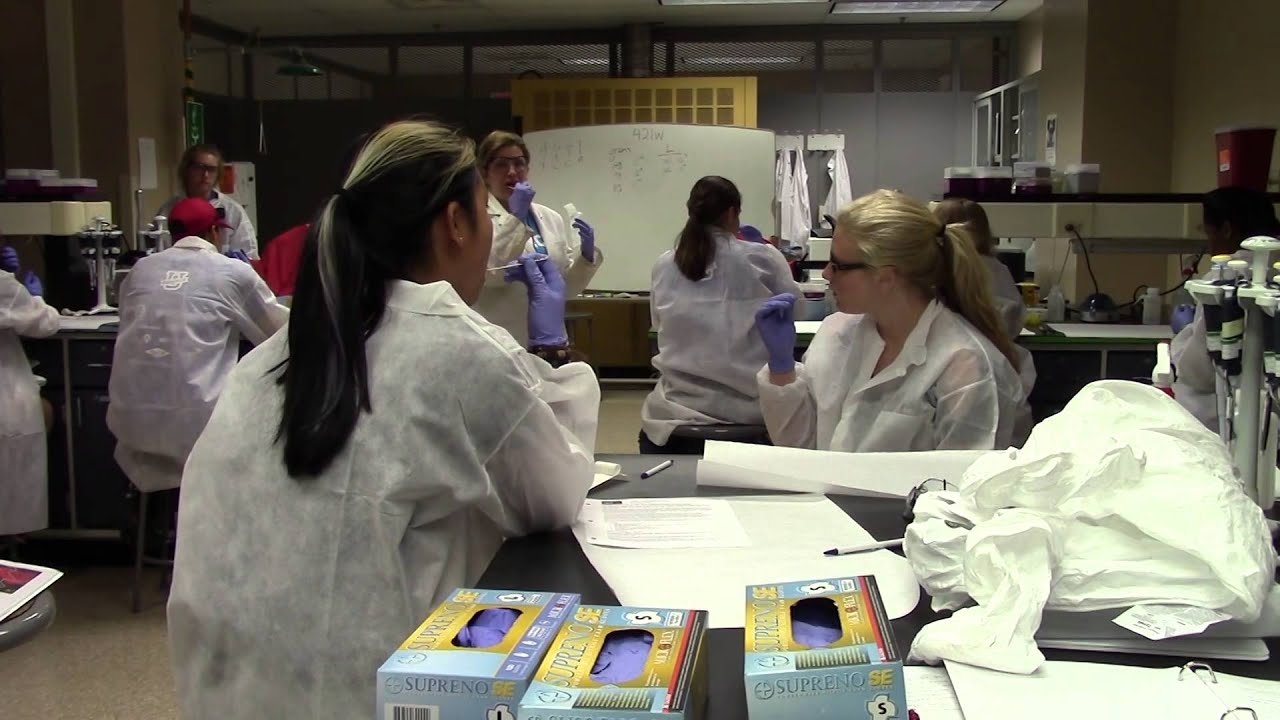Science-U Forensics DNA Camp - YouTube