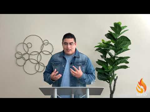 On your mark, get set, grow! - YouTube