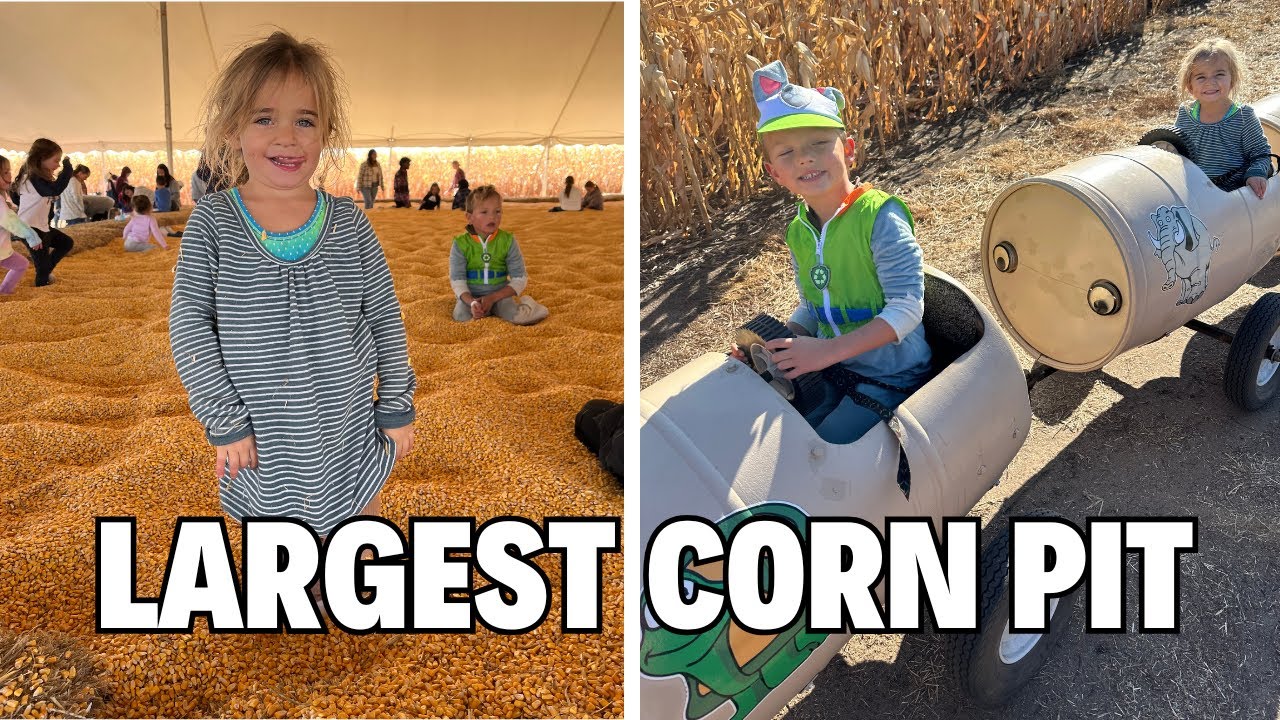 We Saw The Biggest Corn Pit Ever for Some FALL FUN - YouTube
