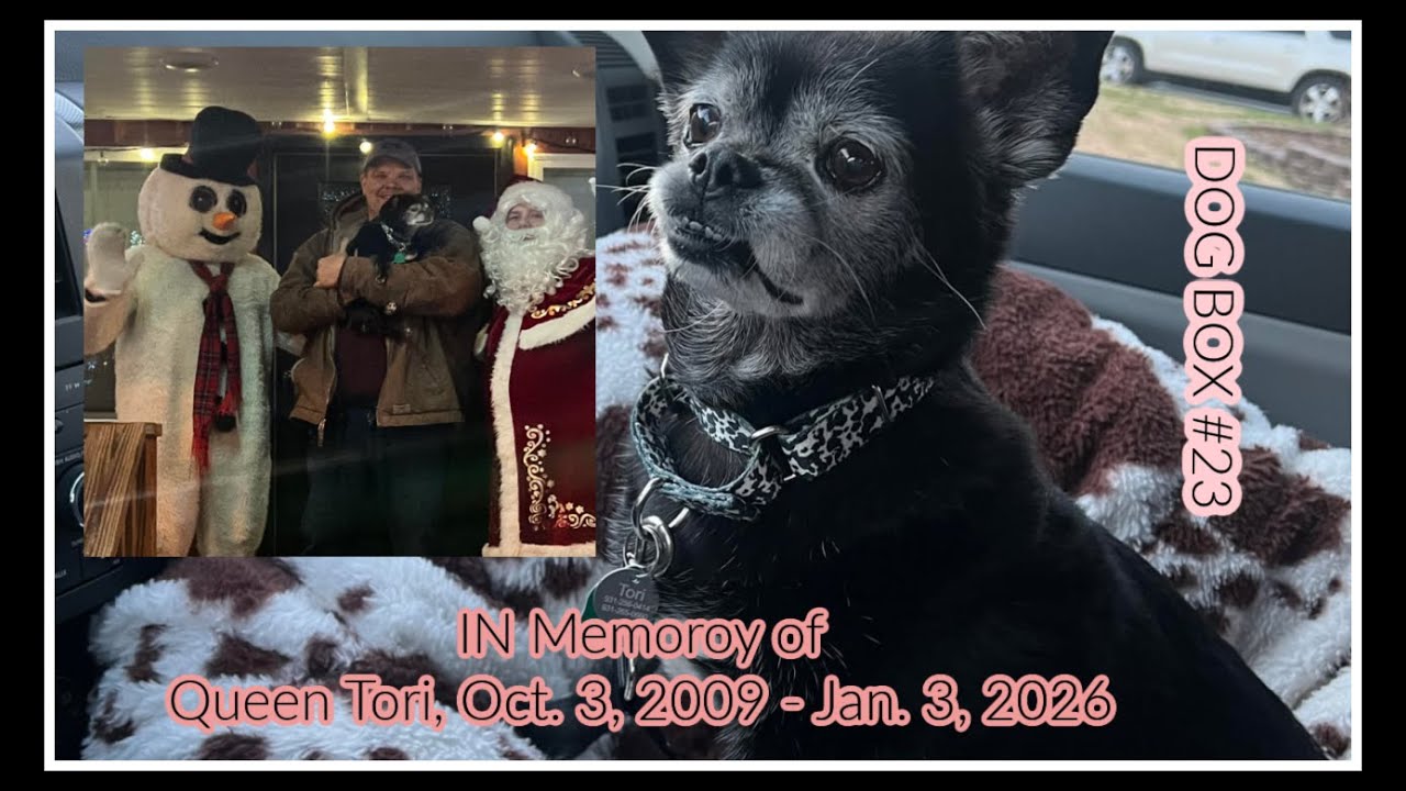 "IN Memory of Tori 2009-2026" Fund Raiser Dog Box #23 Drawing, "Thank ...