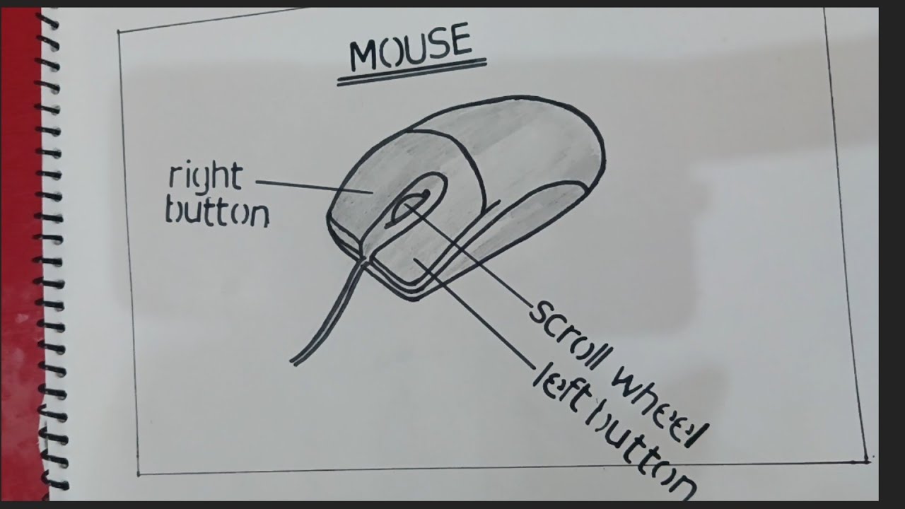 How to draw computer mouse step by step very easy/Mouse drawing easily ...