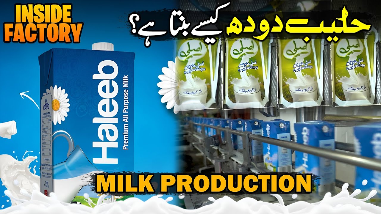 How Haleeb Milk Is Made 🥛 | Inside the Milk Processing Factory ...