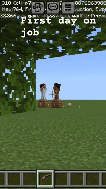 first day at job Minecraft moment #minecraft #gaming # ...