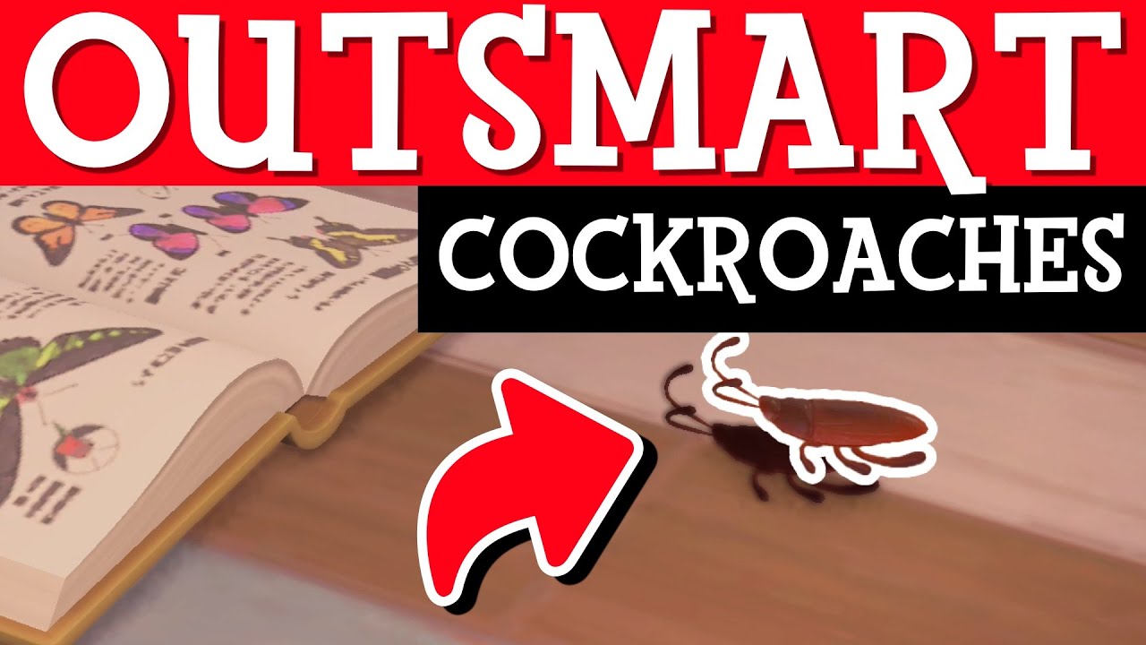 How To Get Rid Of Cockroaches In House Acnh at Anna Octoman blog