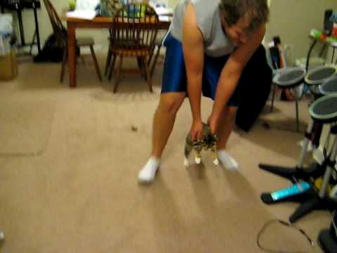 Backwards Cat Wheelbarrow - YouTube