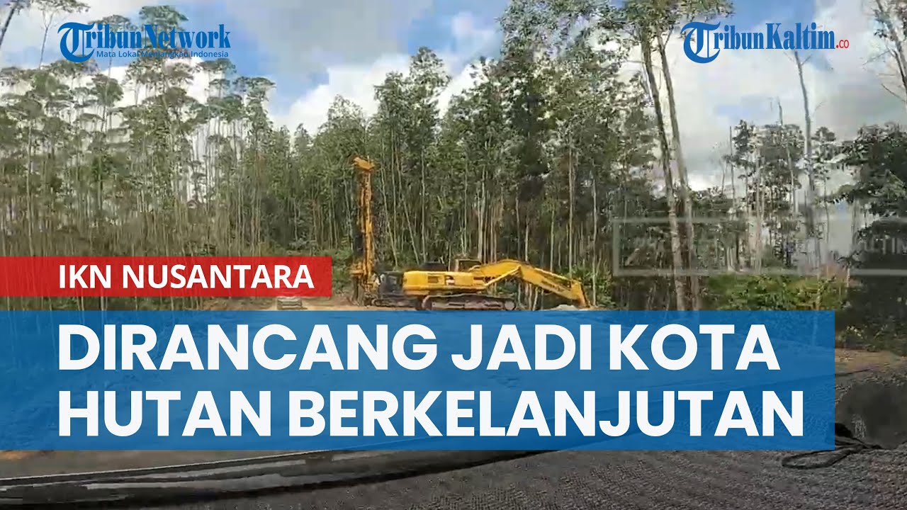 IKN Nusantara Dirancang jadi Kota Hutan Berkelanjutan, Restorasi dan Rehabilitasi - YouTube