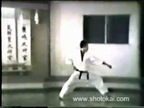 Тайкиока Шодан -  Син Вадза Тай (Дух-Техника-Тело)