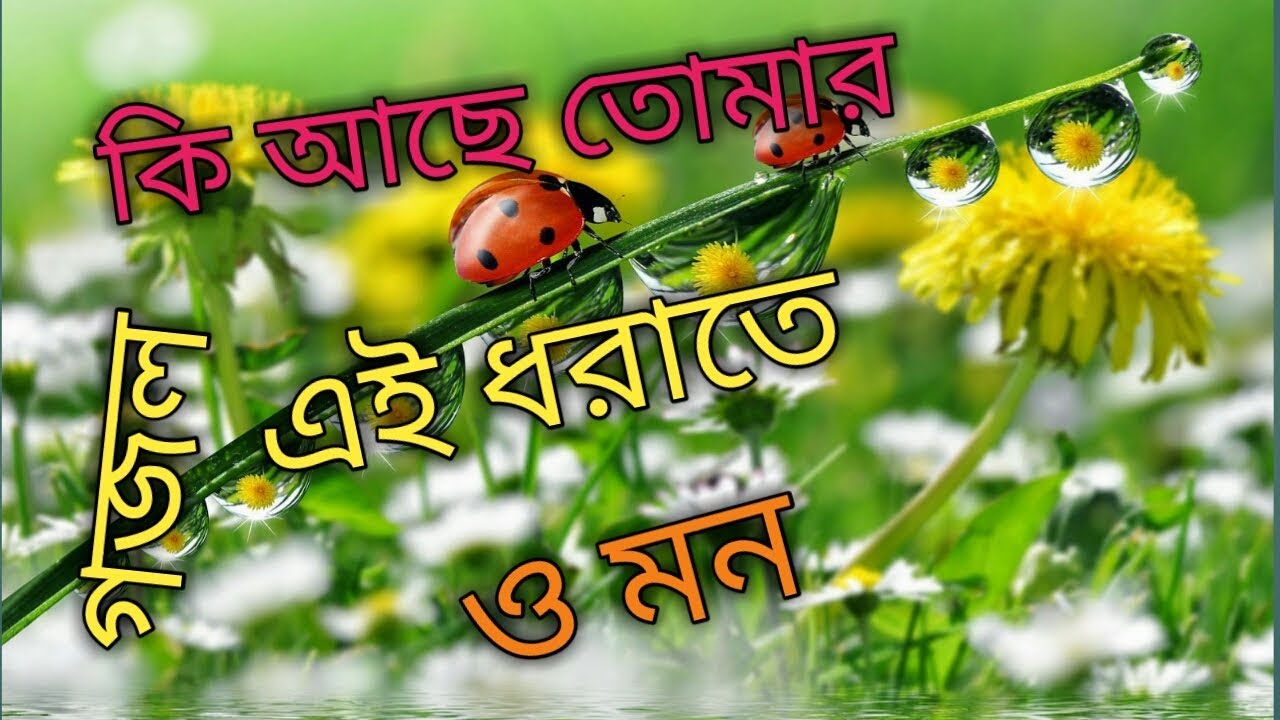 Bangla Best Islamic Song!!Bangla new Islamic gojol!!Gojol Ja Kisu Ase ...