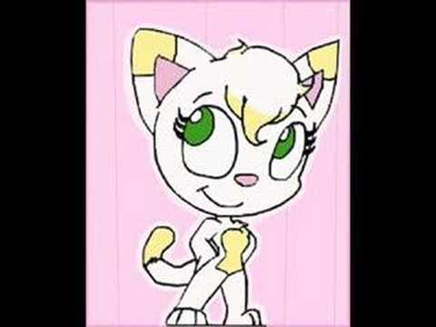 Cat(Skunk Fu)- I have nothing - YouTube