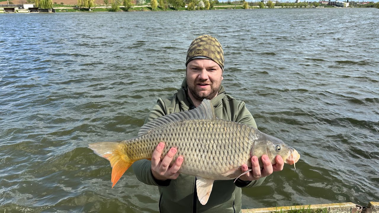 Pescuit la method pe Lacul Tancabesti 2 - YouTube