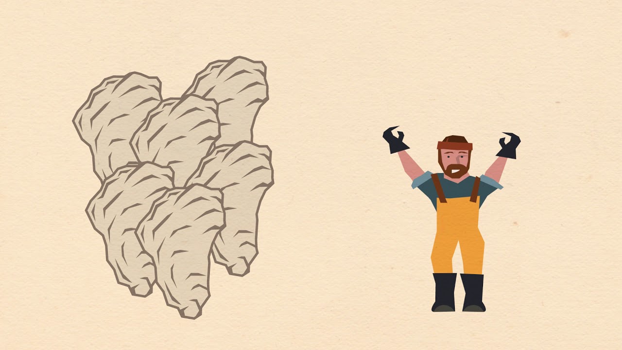 Jetty Oyster Recycling Program PSA - Part 4 - YouTube