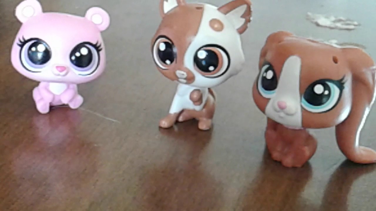 (LPS) Adoption Center part 2 - YouTube