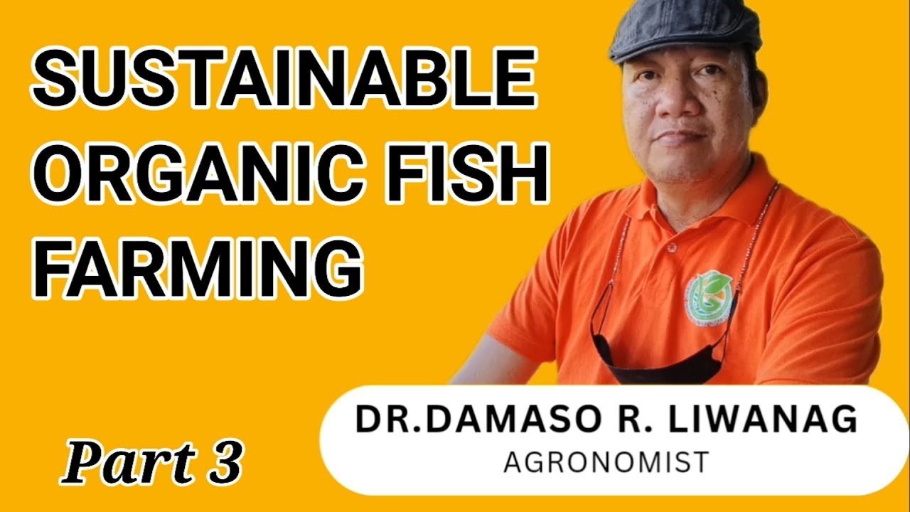 SUSTAINABLE ORGANIC FISH FARMING ( PART 3 ) - YouTube