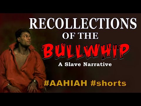 RECOLLECTIONS OF THE BULLWHIP #AAHIAH #shorts