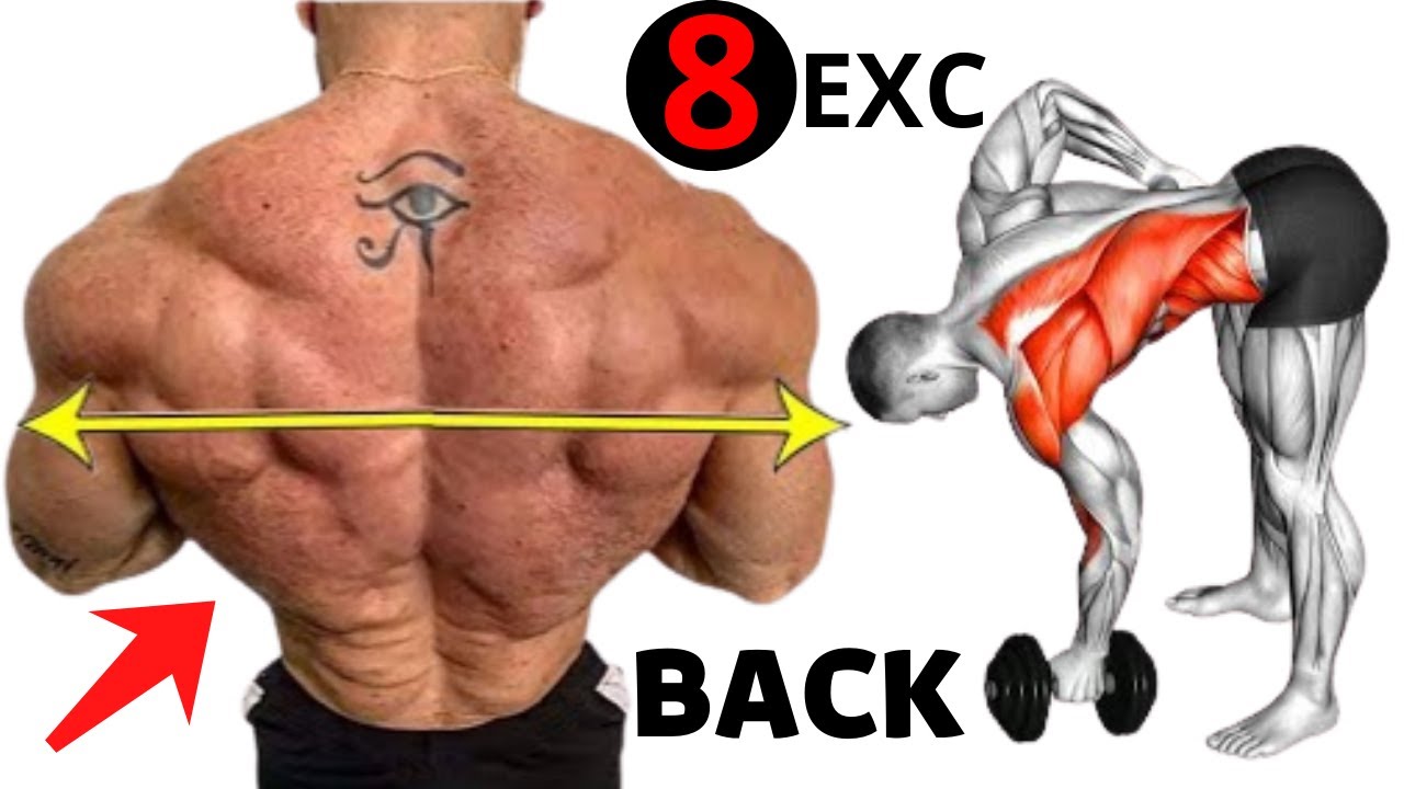 8 Best Exercises For Wider And Bigger Back - Back Workout - YouTube