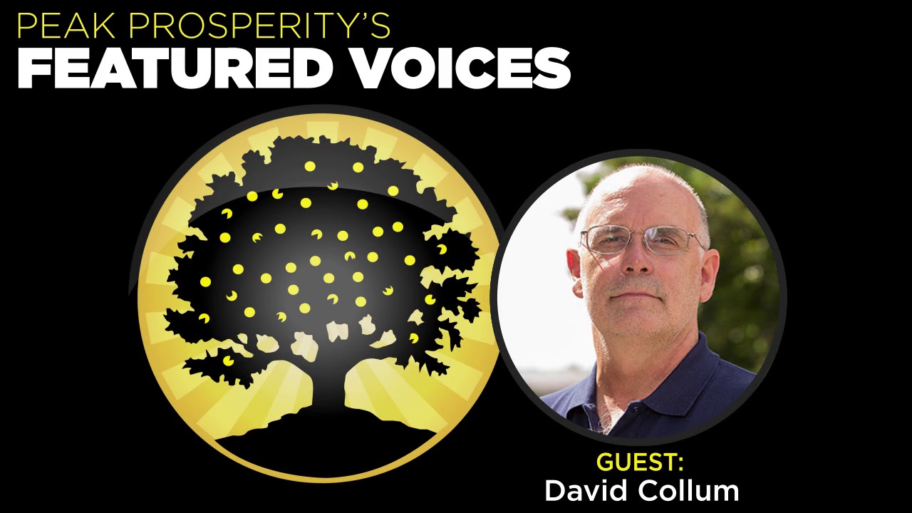 David Collum: Everything That Mattered In 2018 - YouTube