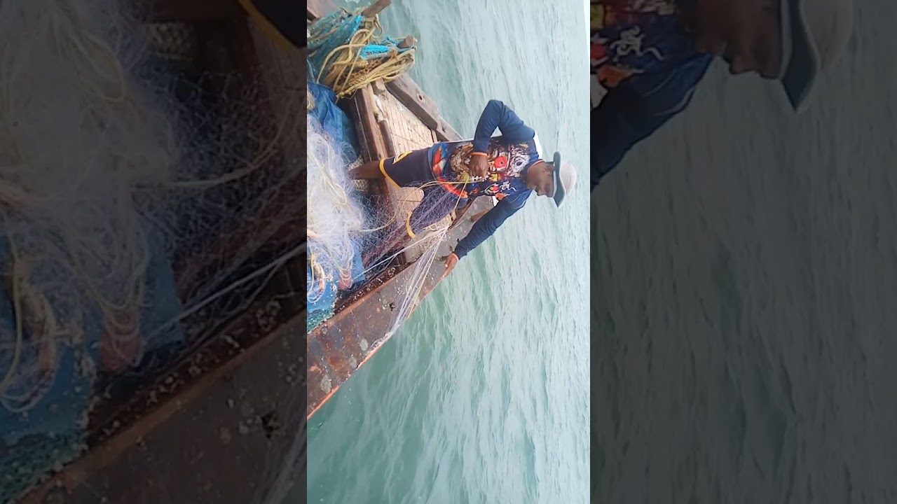 Fishing BOT - YouTube