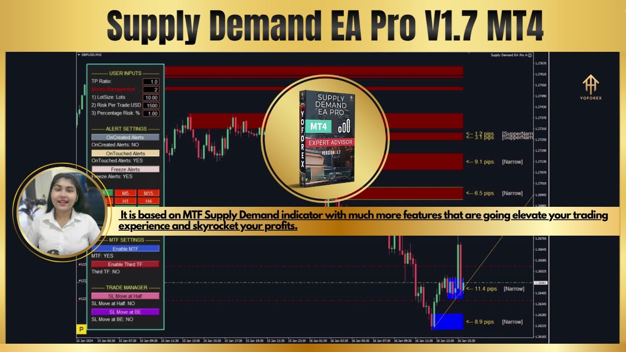 Supply Demand EA Pro V1.7 MT4 - Optimize Your Trading Strategy for $160 USD! - YouTube