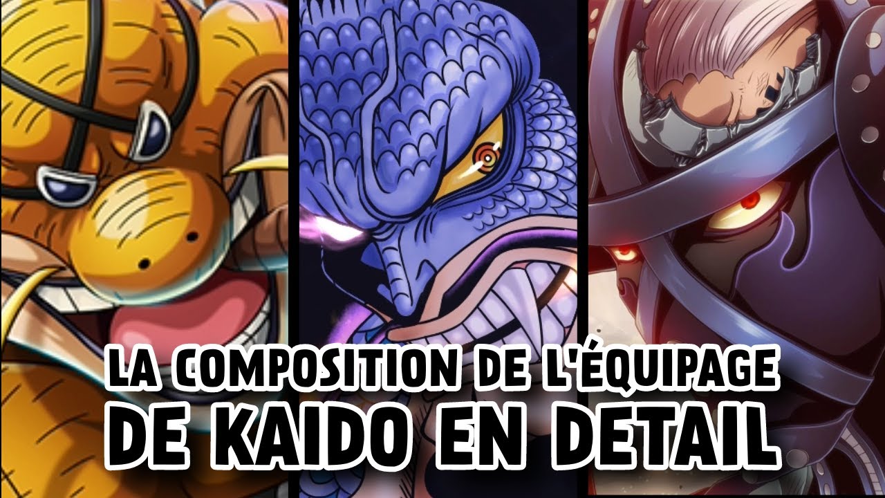LA COMPOSITION de l'ÉQUIPAGE de KAIDO en DÉTAIL - YouTube