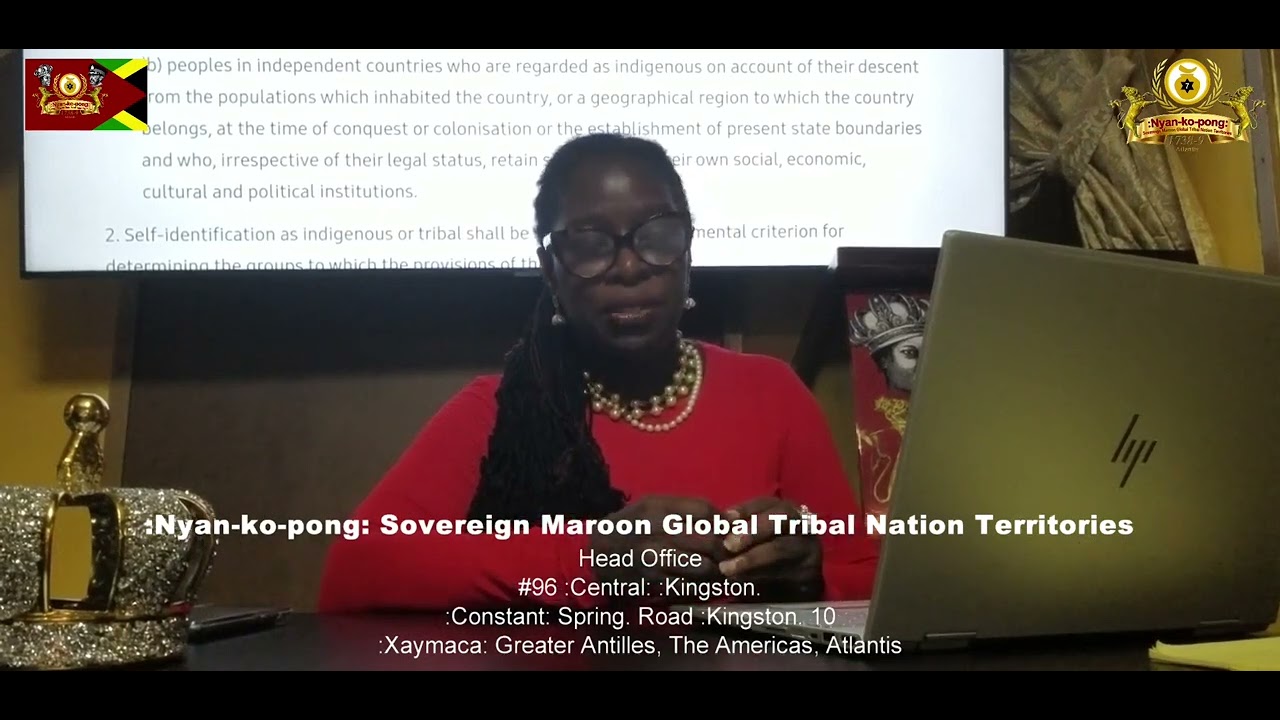 Maroon Government Official Expounds on The Rights of Indigenous People ...