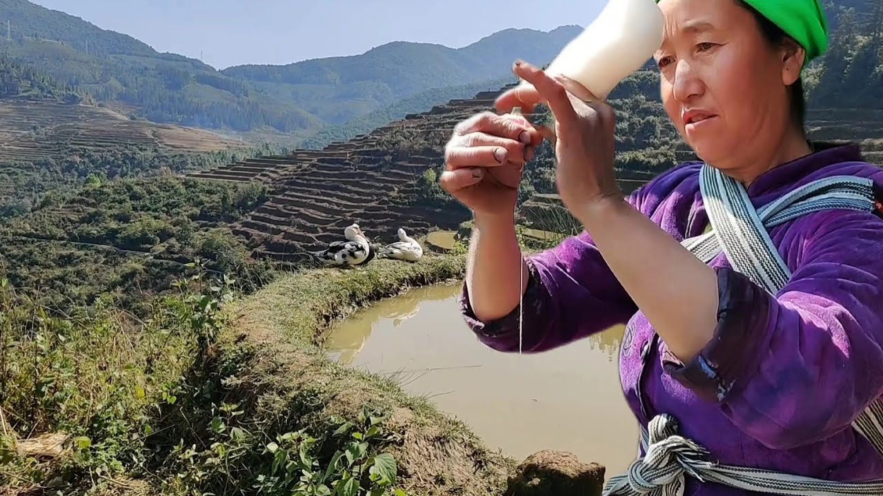 中国云南山区哈尼族家庭的日常生活，传统农耕与手工纺织 | China mountain Village life - YouTube