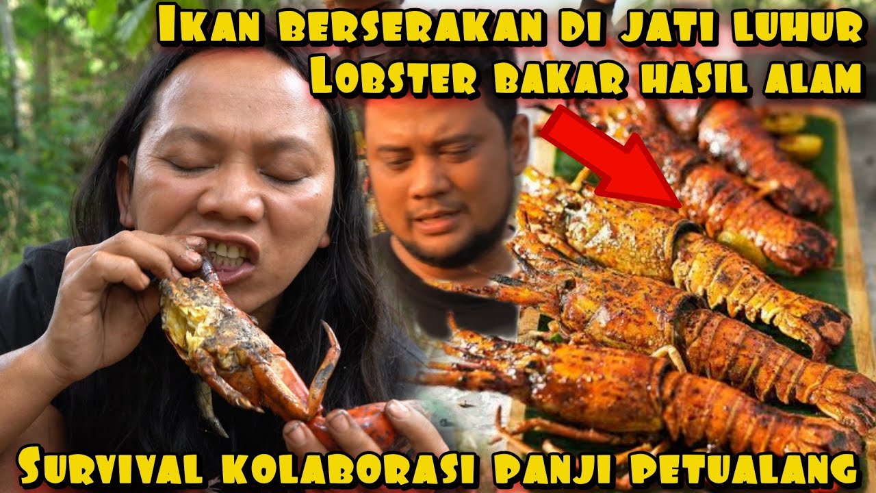 KOLABORASI PANJI PETUALANG LOBSTER BAKAR SURVIVAL DI JATI LUHUR - YouTube