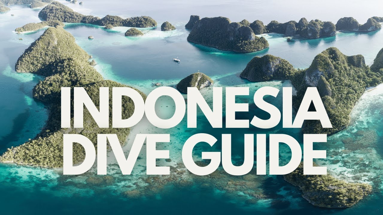 Scuba Diver Dive Guide to Indonesia - YouTube