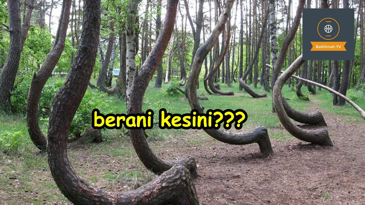 6 Tempat Paling Misterius di Dunia, Kastil Drakula hingga Garis di ...