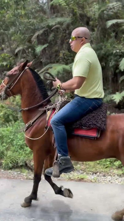 Why I LOVE horseback riding! - YouTube