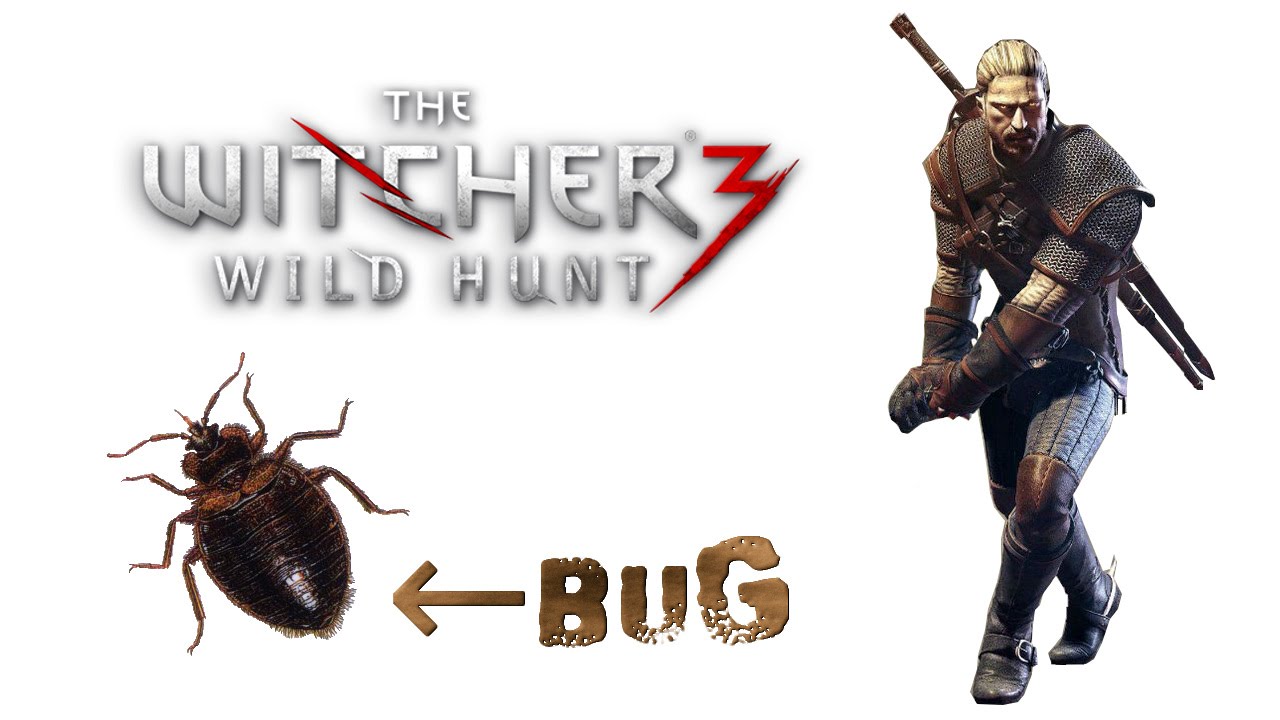 The Witcher 3 | Imaginary Sword [BUG] - YouTube