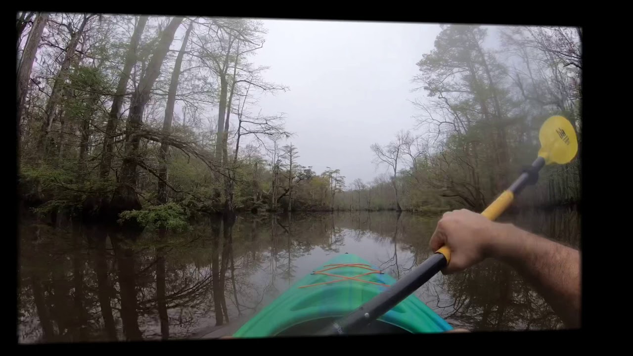 Morrison Springs Kayaking Adventures - YouTube