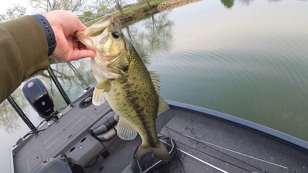 Pond Bass Fishing (Hooksets Need Work!) - YouTube