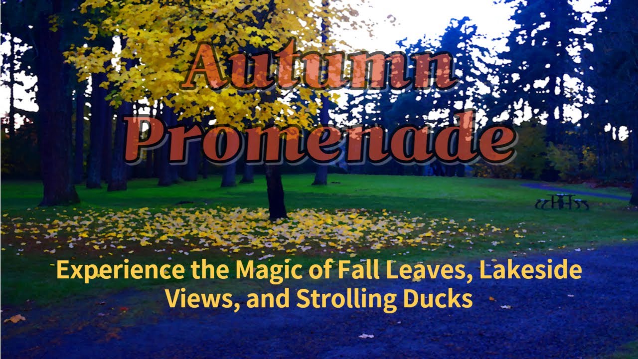 Autumn Promenade, Experience the Magic of Fall Leaves, Lakeside Views ...