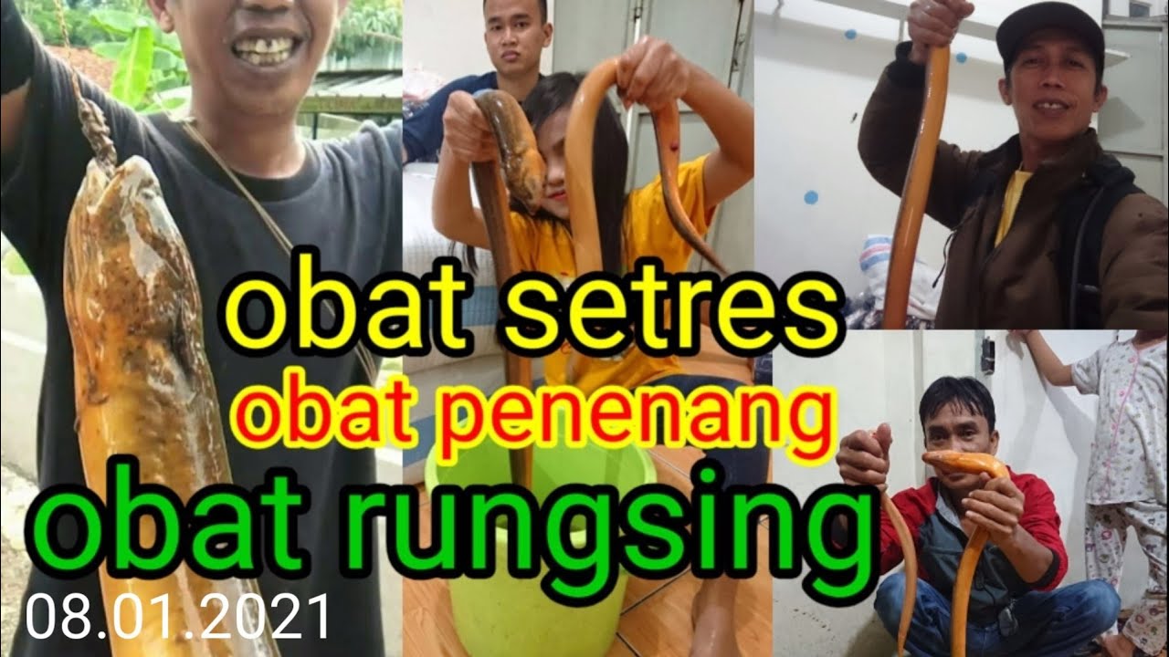 mancing belut"obat setres"obat penenang"obat rarungsing"spot cipaku ...