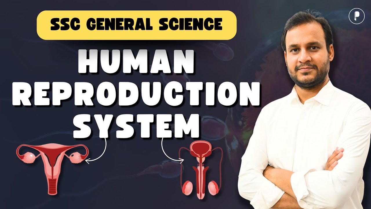 Human Reproduction System | Reproductive System | General Science | SSC ...