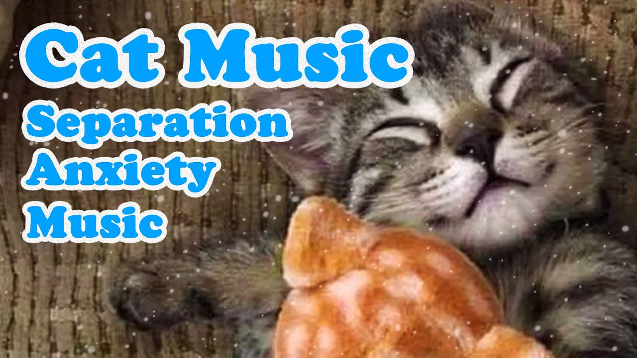 Cat music to calm them, Relaxing Music for Deep sleeping, music for ...