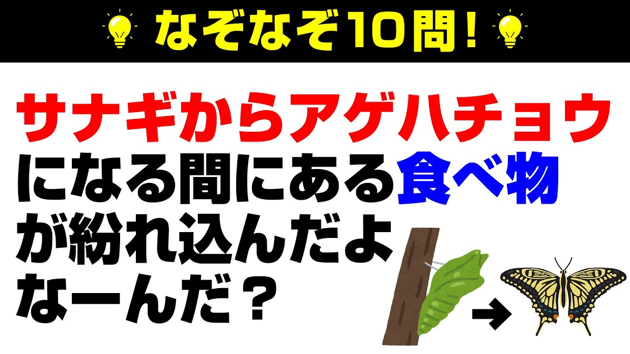 【なぞなぞ10問】簡単・気軽に集中力向上!頭が固い人は100 解けない! 問題のヒント:サナギカラアゲハチョウ【脳トレクイズ】 Youtube