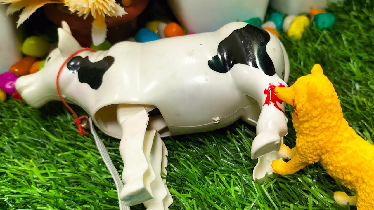 Barbie doll All day Routine/Chinky Pinky Kahani Part -21/Village ...