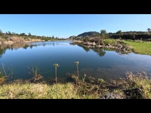 Lake Waro, Hikurangi, Northland, New Zealand - YouTube