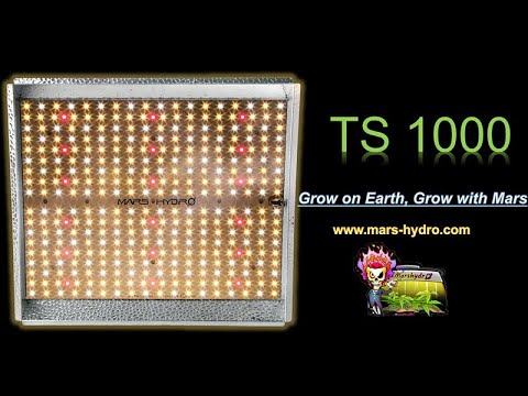 Mars Hydro TS 1000 led grow light case study - YouTube