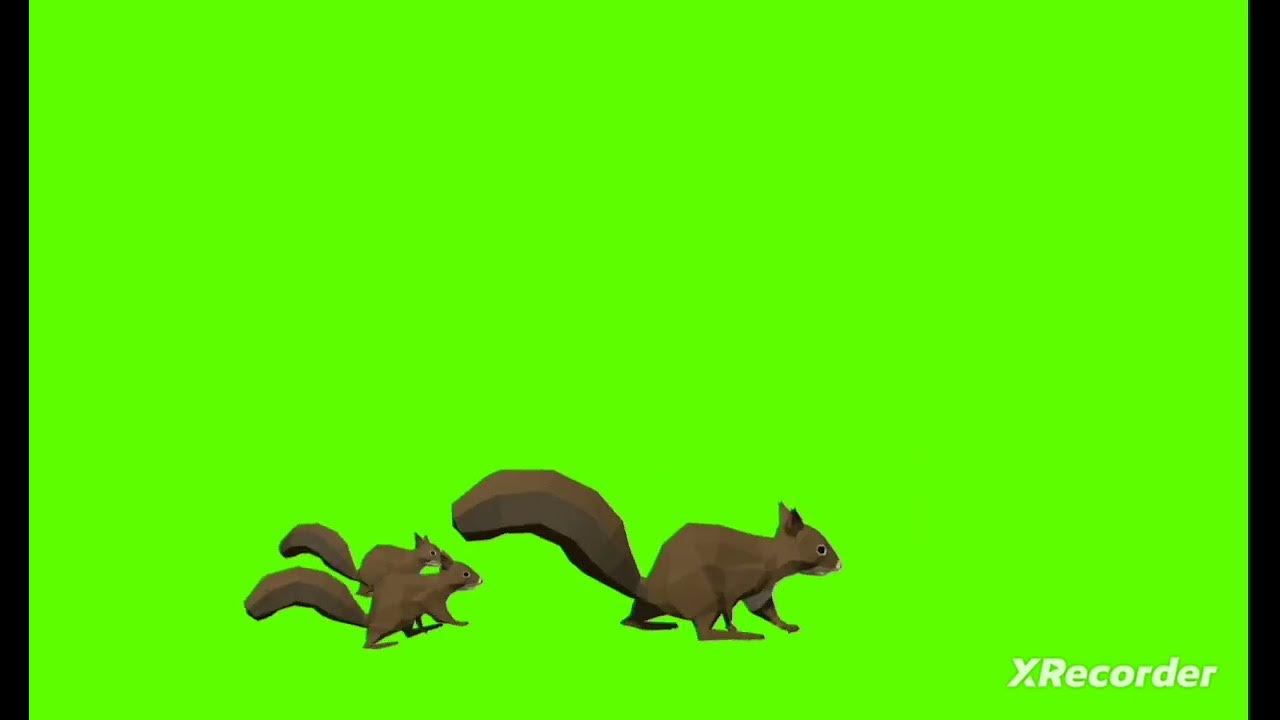 copyright free Cartoon Green Screen Animation Squirrels Walking Running Green Video #animation ...