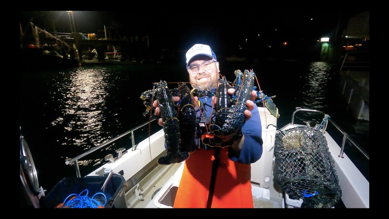 First Lobsters of the Year | Lobster Roll - YouTube