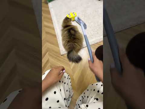 I'm Making All Kinds of Fun Foods for My Kids With This Blender | Zhizhi and Little Bit Vl