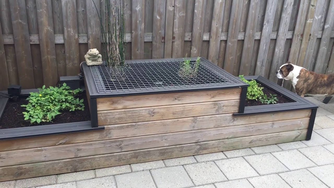 Small DIY fish pond - YouTube