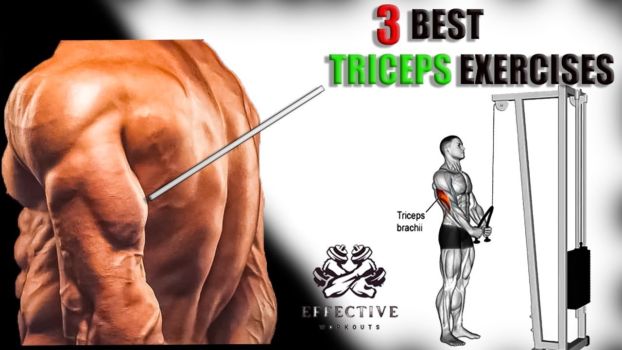 BEST TRICEPS EXERCISES-3 Exercises That are Most Effective for Triceps ...