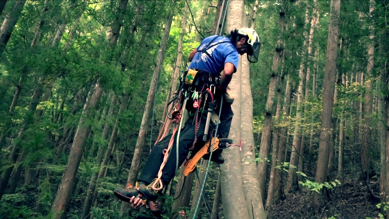Mark Bridge Arb Aerial Rescue Training - YouTube