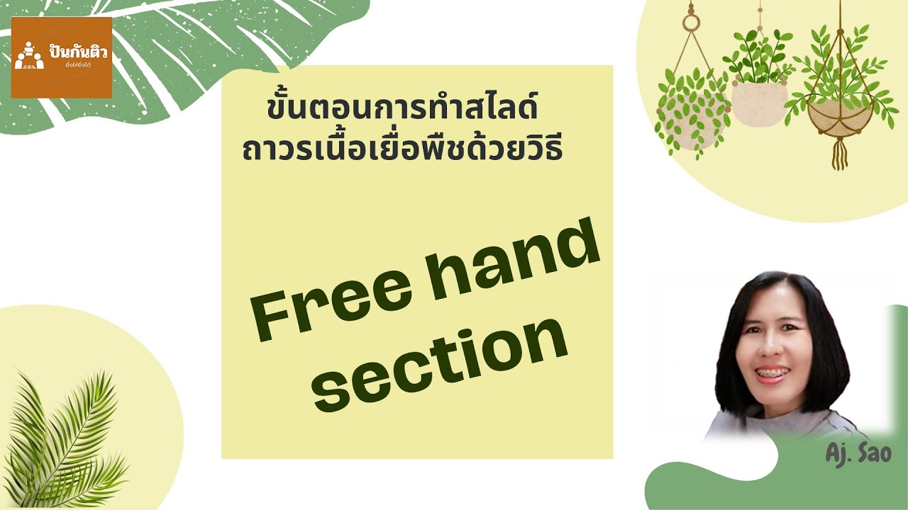 การทำสไลด์ถาวรเนื้อเยื่อพืชด้วยการตัดแบบ Free Hand Section - YouTube