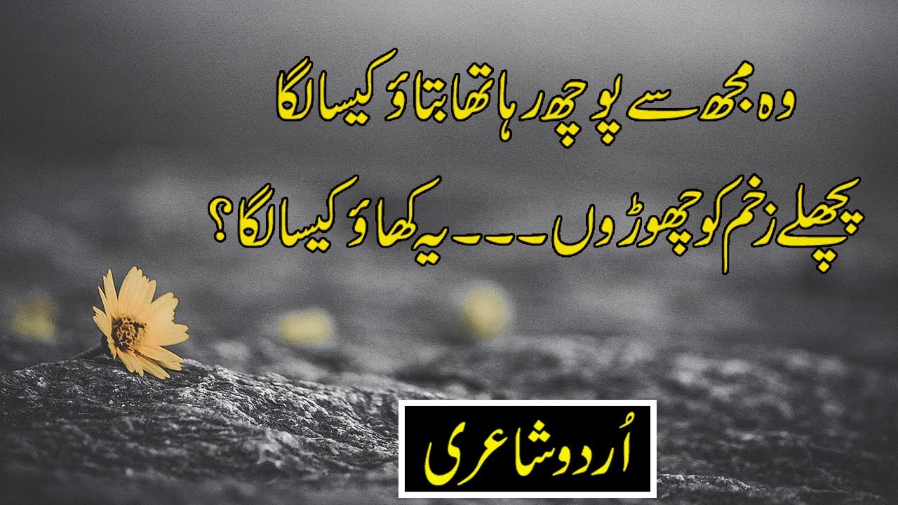 2 line Best Urdu Poetry | Amazing Urdu Shayari | Suleman Voice - YouTube